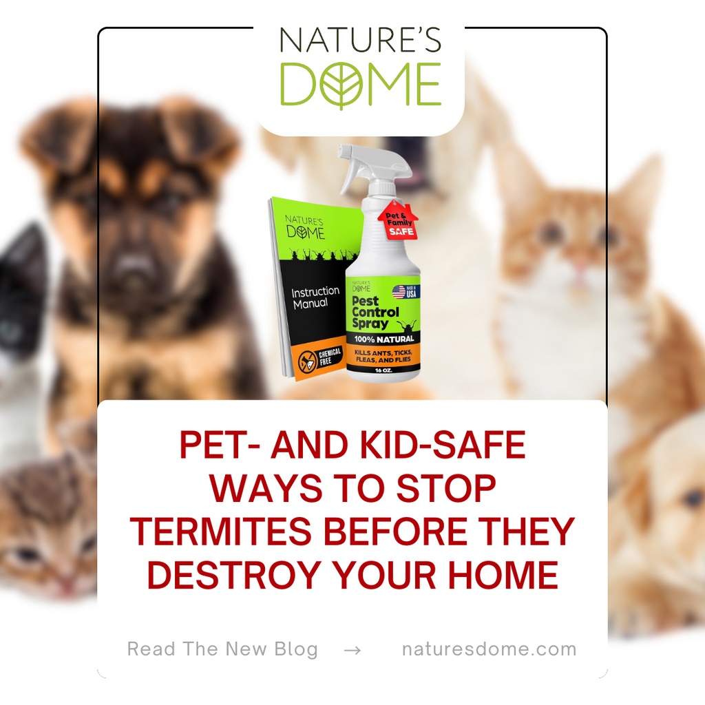 Pet- and Kid-Safe Ways to Stop Termites Before They Destroy Your Home ...