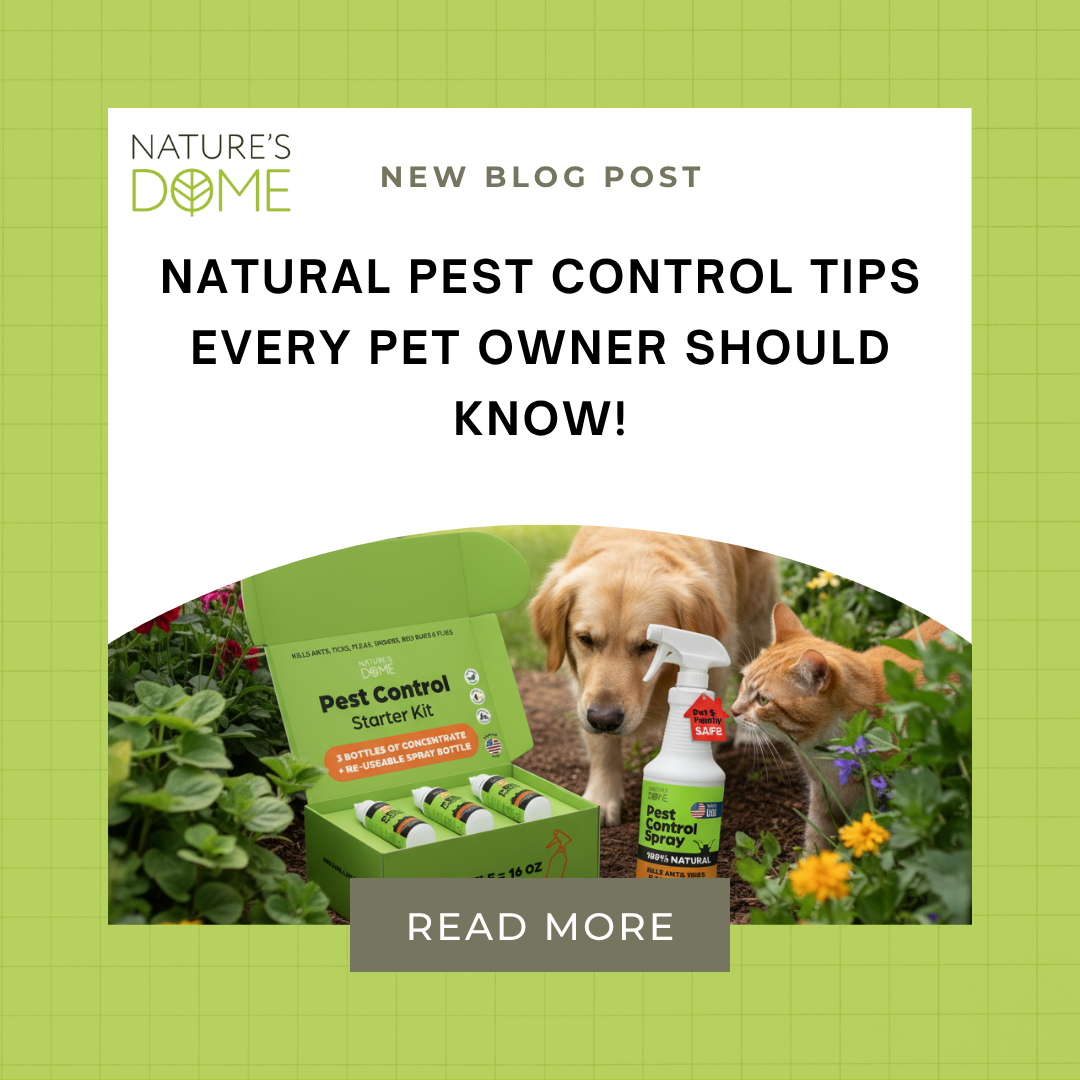 Natural Pest Control Tips Every Pet Owner Should Know! – Naturesdome