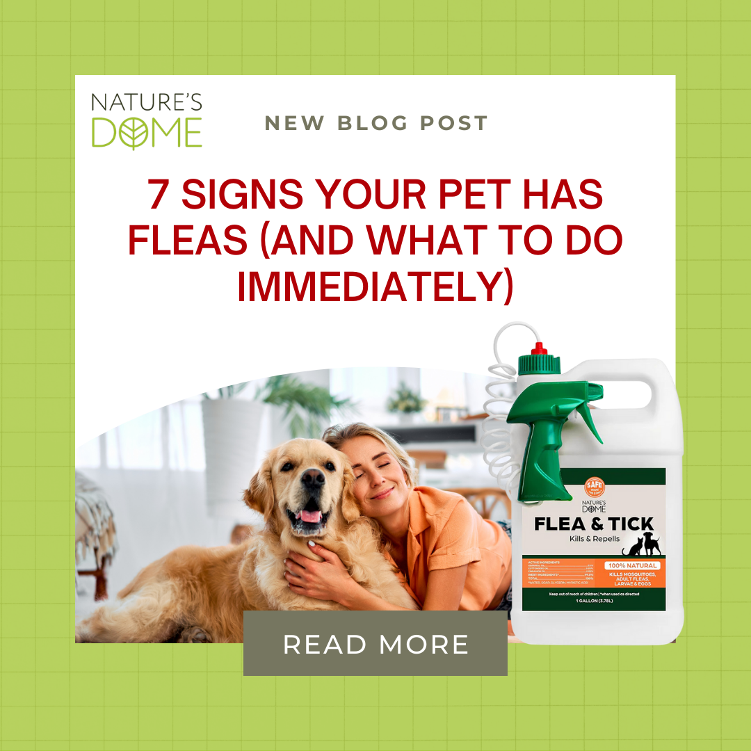 7 Signs Your Pet Has Fleas (and What to Do Immediately) – Naturesdome