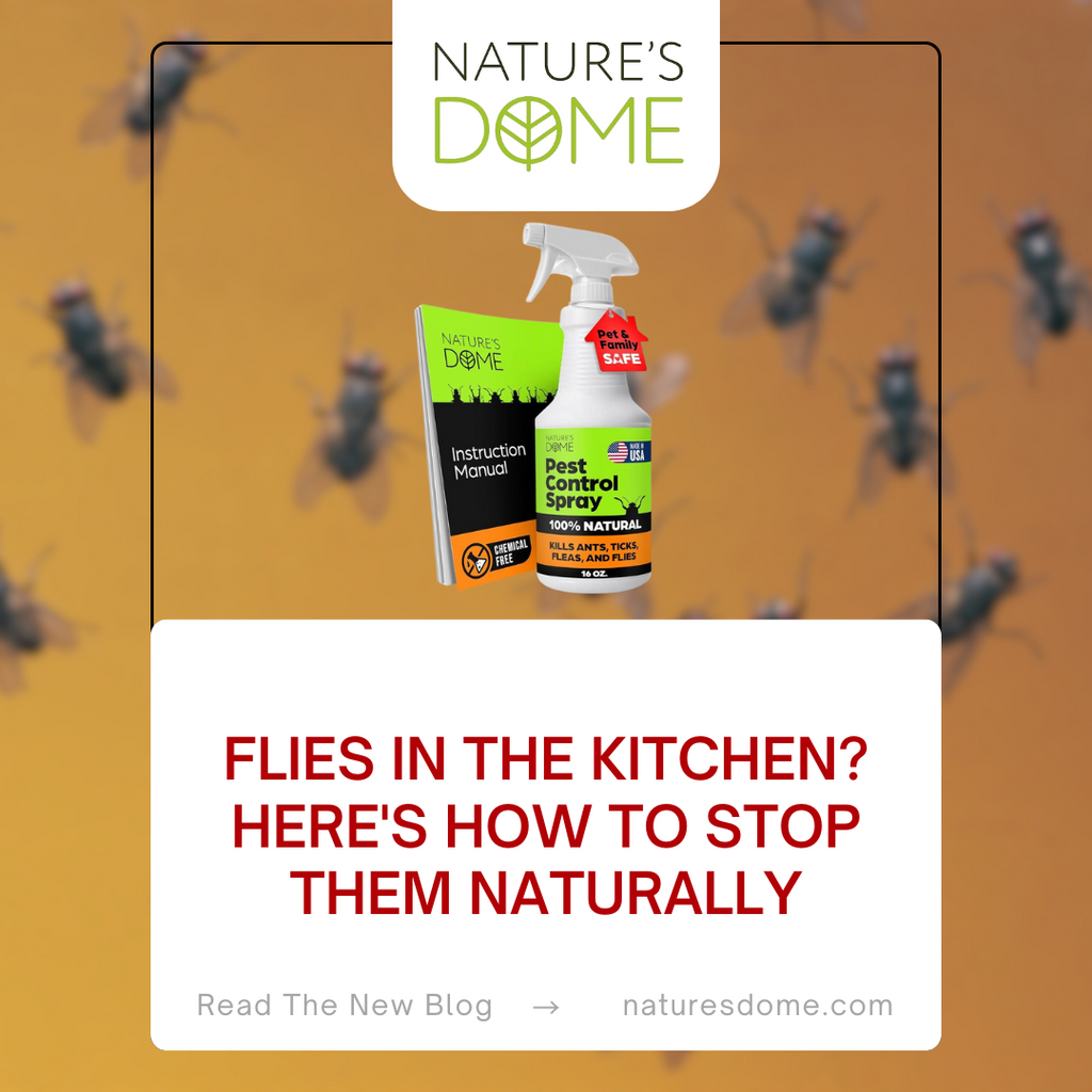 Flies in the Kitchen? Here's How to Stop Them Naturally – Naturesdome