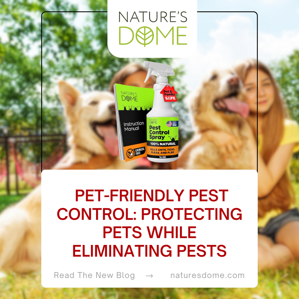 Pet-Friendly Pest Control: Protecting Pets While Eliminating Pests ...