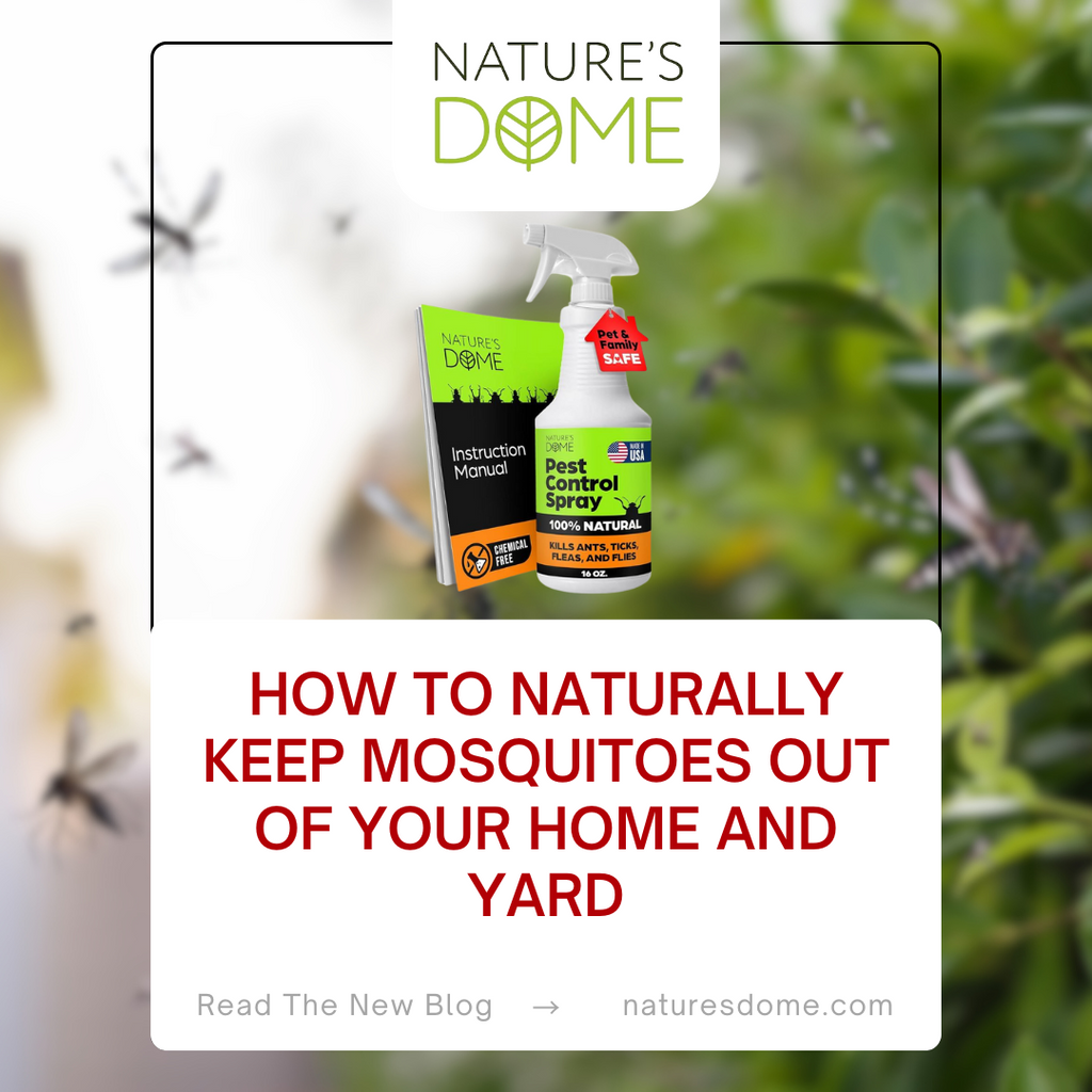 How to Naturally Keep Mosquitoes Out of Your Home and Yard – Naturesdome