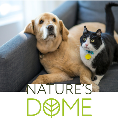 Nature’s Dome and Pet Safety: Why It’s the Safer Choice for Animal Lov ...